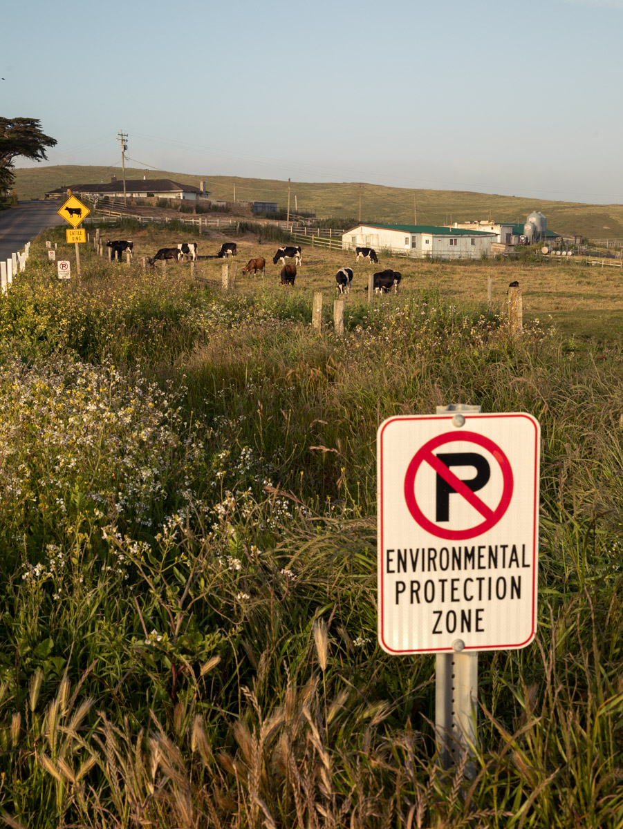 Tule Trouble: When Private Ranchers Control Public Lands ...